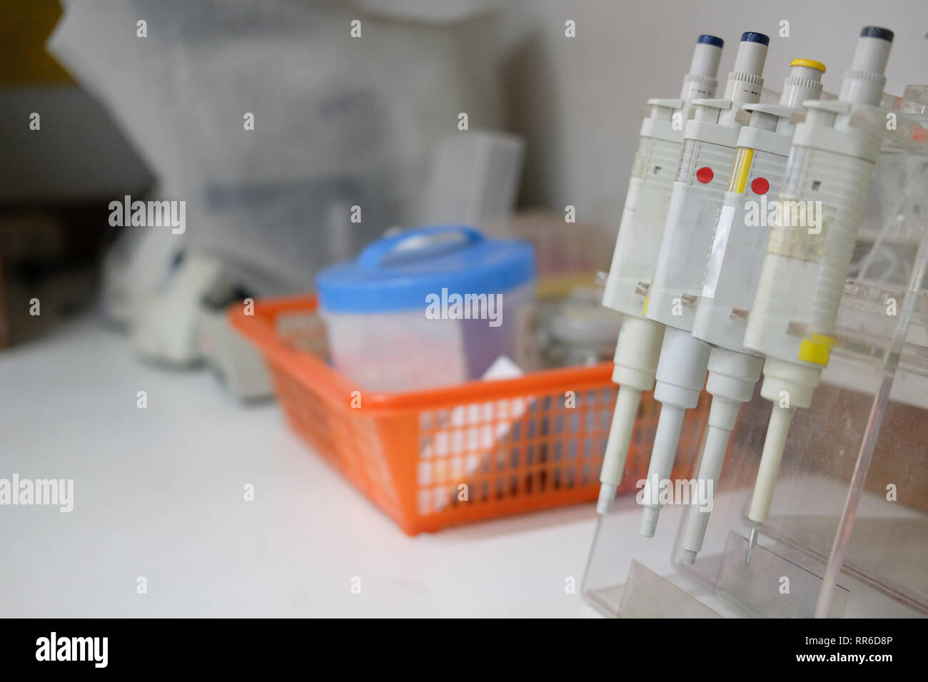 pipette in scientific chemistry lab laboratory for loading test sample ...