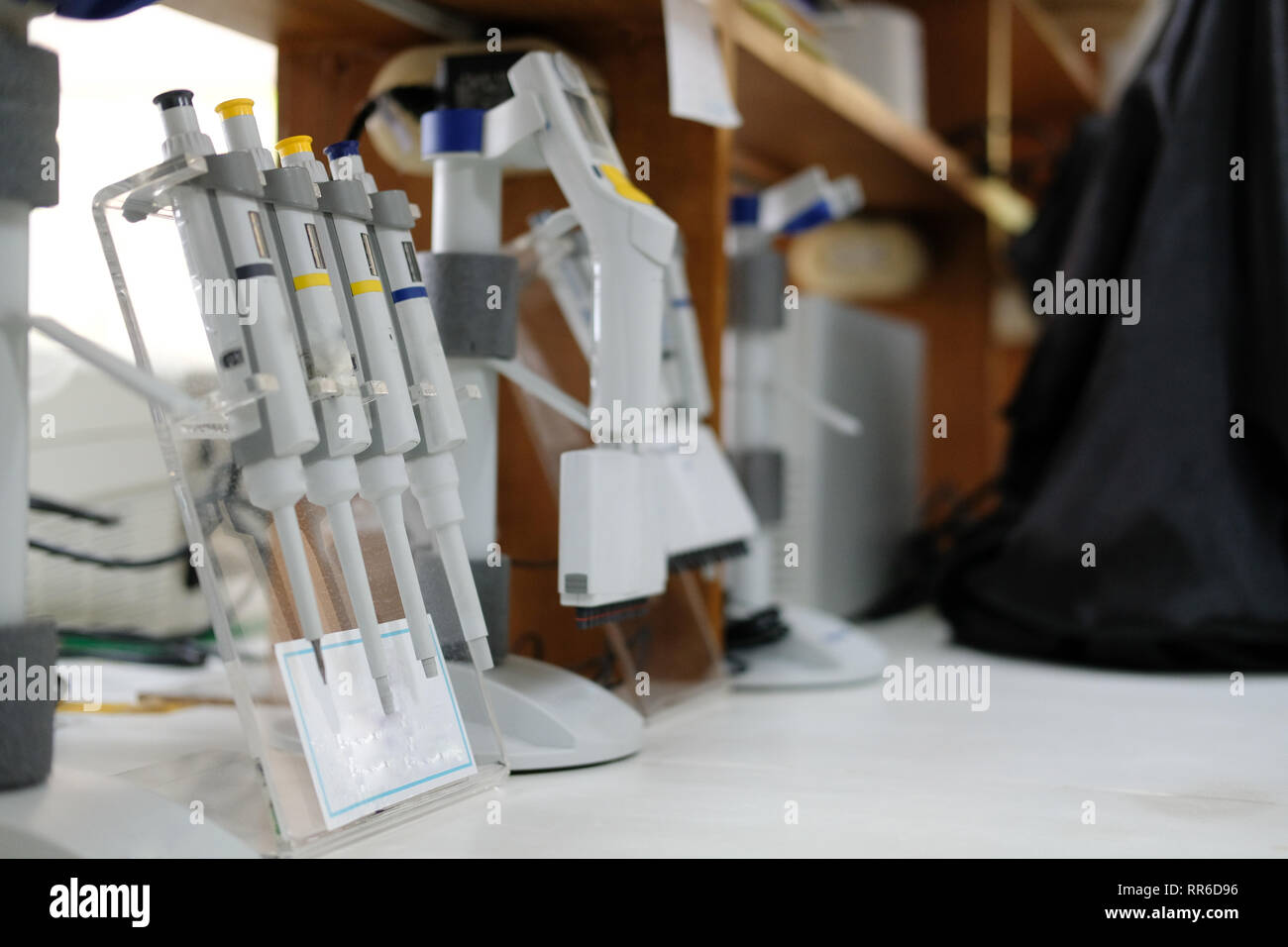 pipette in scientific chemistry lab laboratory for loading test sample ...