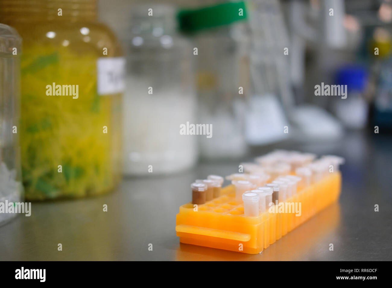 DNA sample in PCR tube microplate in lab Stock Photo - Alamy