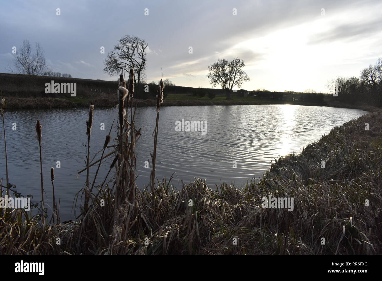 Fishing ponds hi-res stock photography and images - Alamy