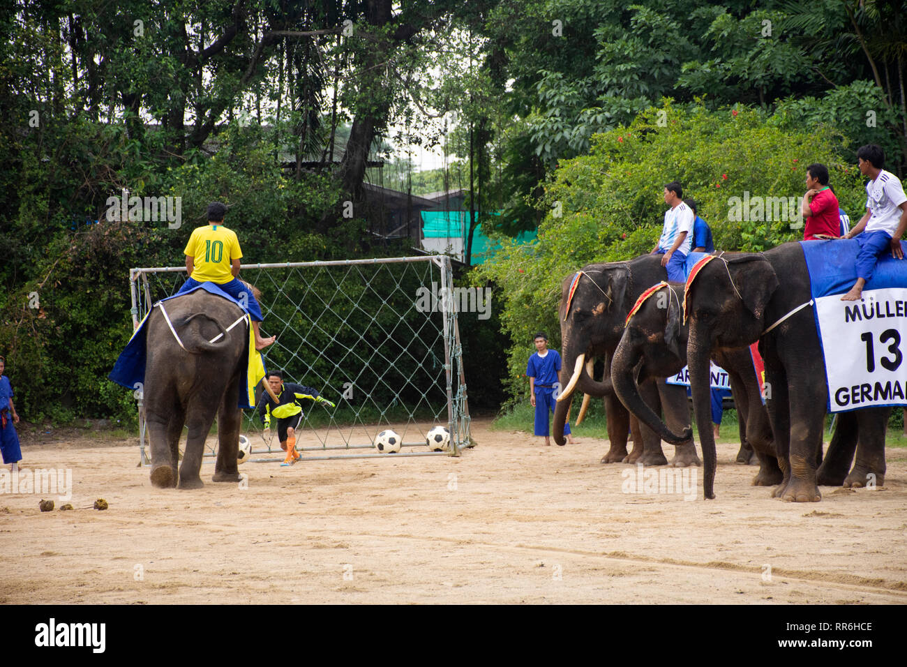 Elephant Theme Show for thai people and travelers foriegner looking at ...