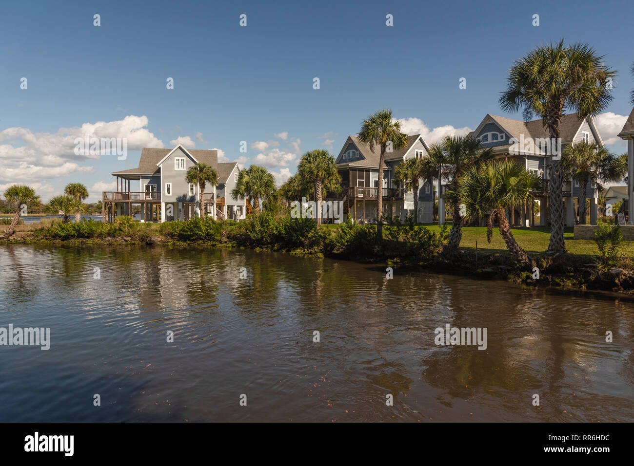 Crystal river shoreline palm hi-res stock photography and images - Alamy