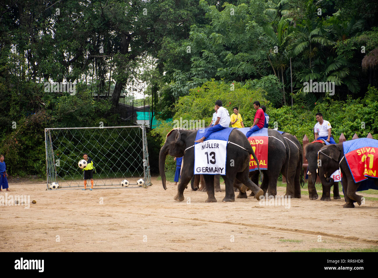Elephant Theme Show for thai people and travelers foriegner looking at ...