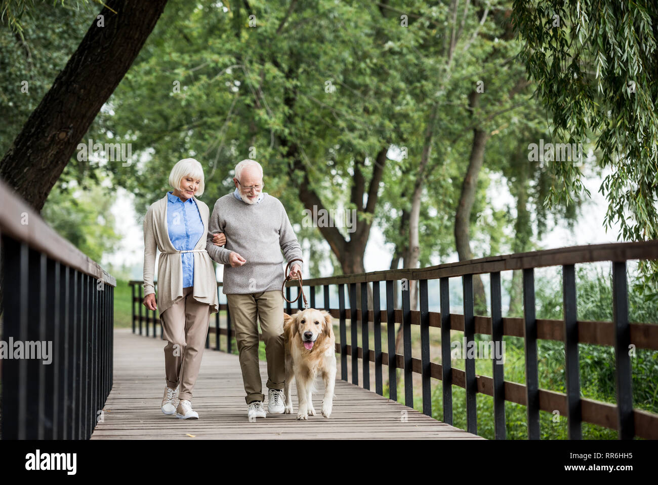 Senior female walking dog across hi-res stock photography and images ...