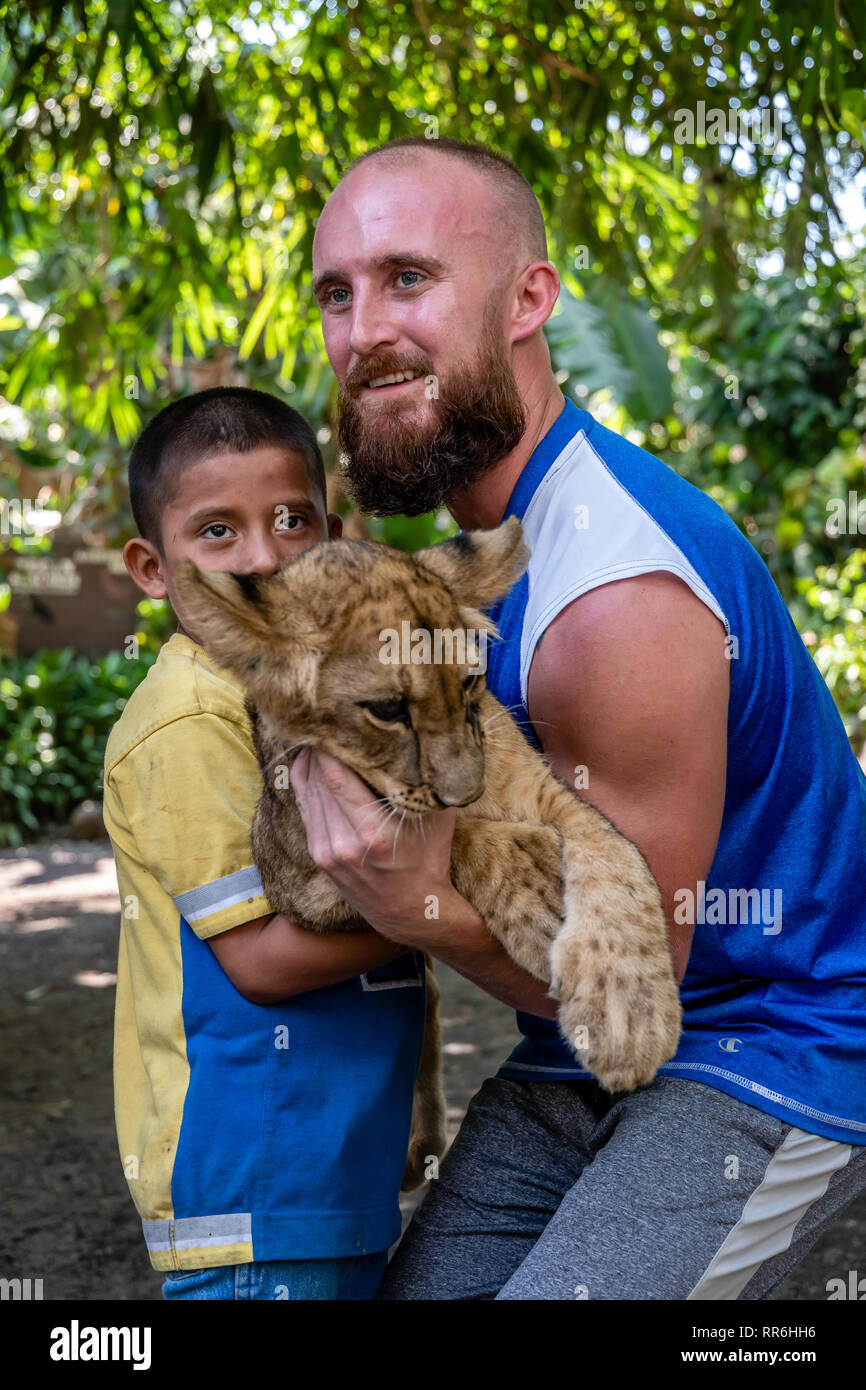 latin child and caucasian man holding baby lion in Guatemalan zoo Stock ...