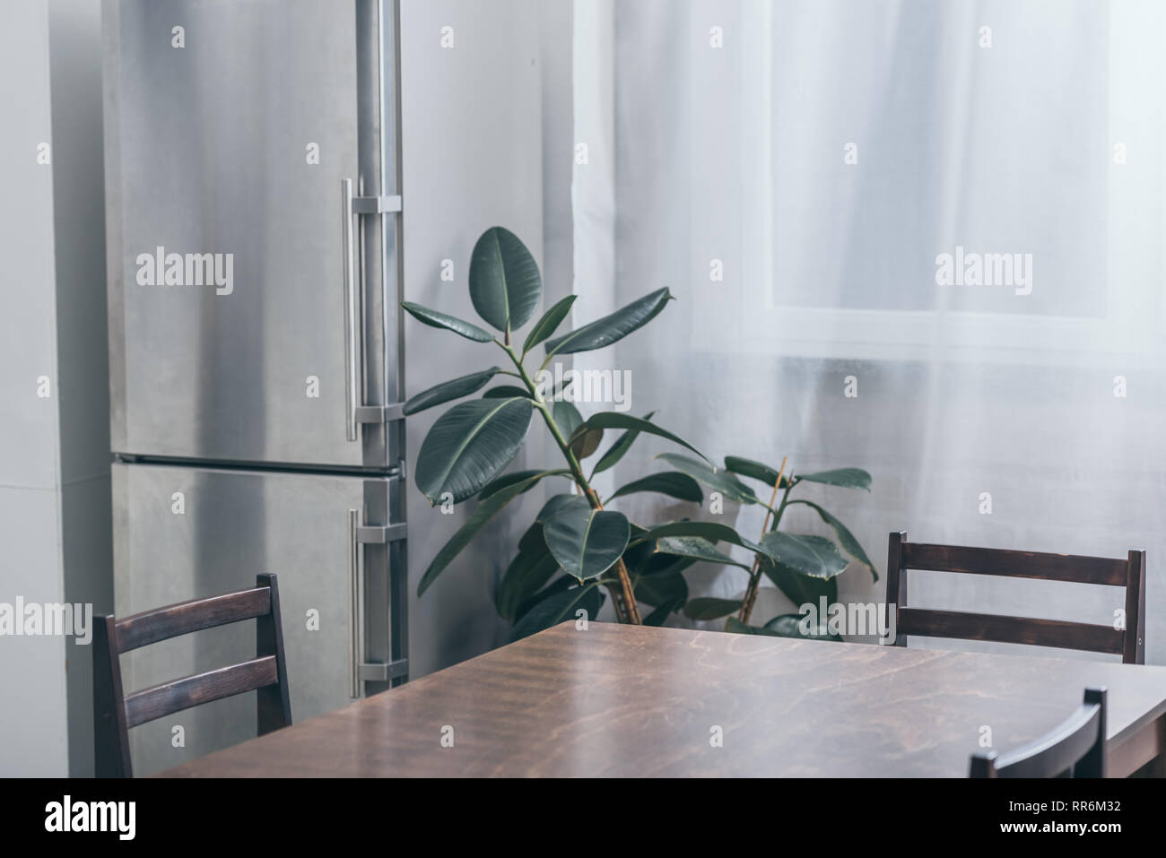 Fridge plant hi-res stock photography and images - Alamy