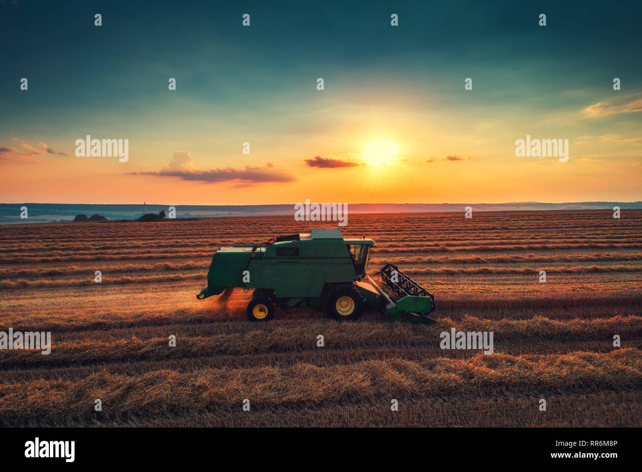 Combine harvester machine working in a wheat field at sunset Stock ...