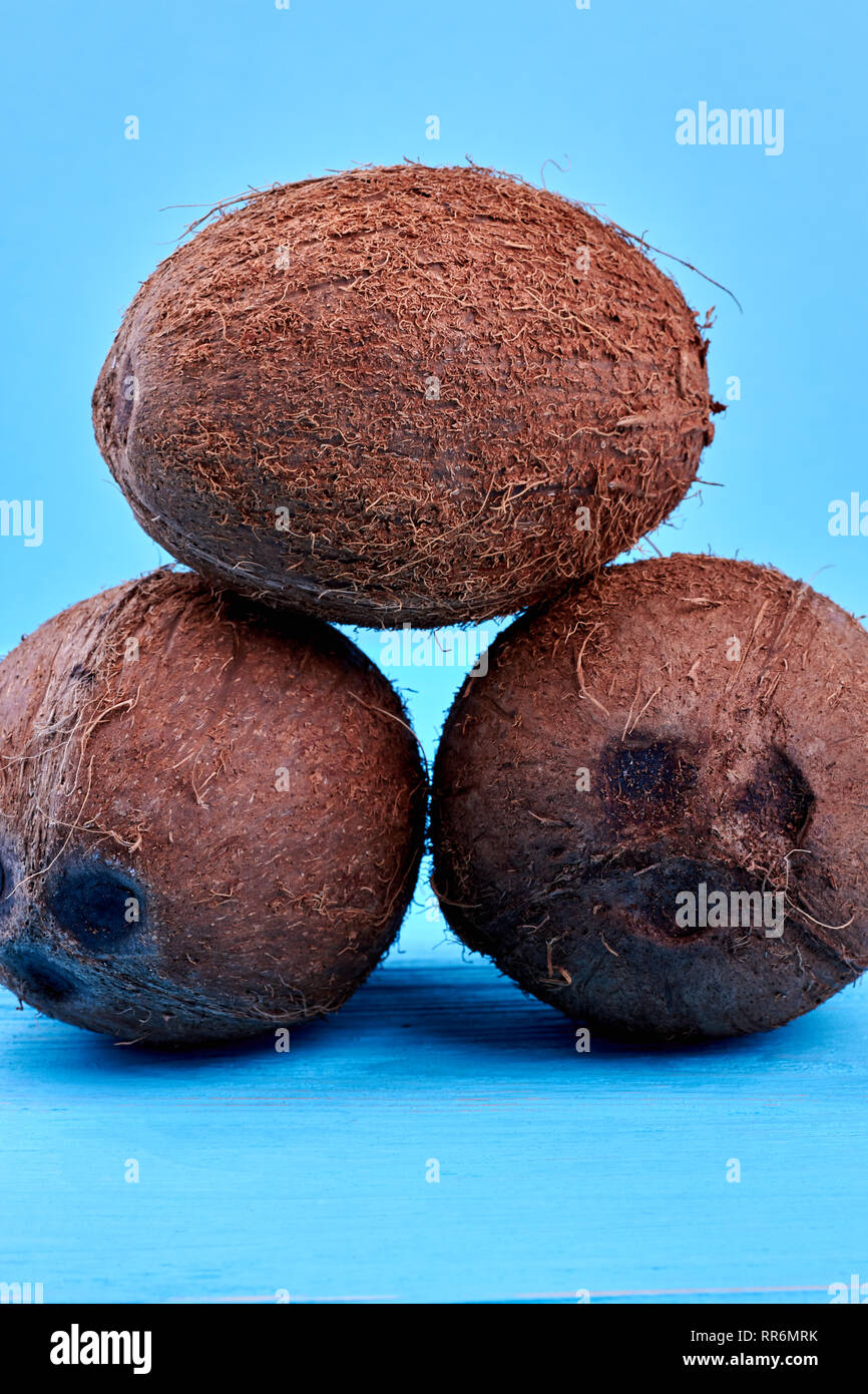 Three ripe coconuts on color background Stock Photo - Alamy