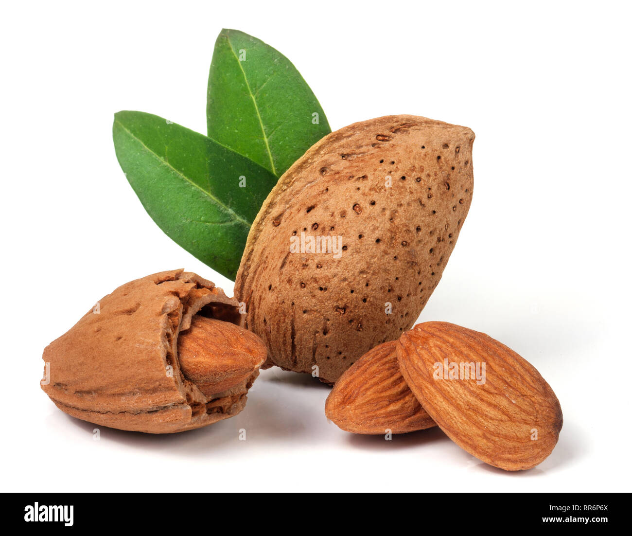 almonds in their skins and peeled with leaf isolated on white ...