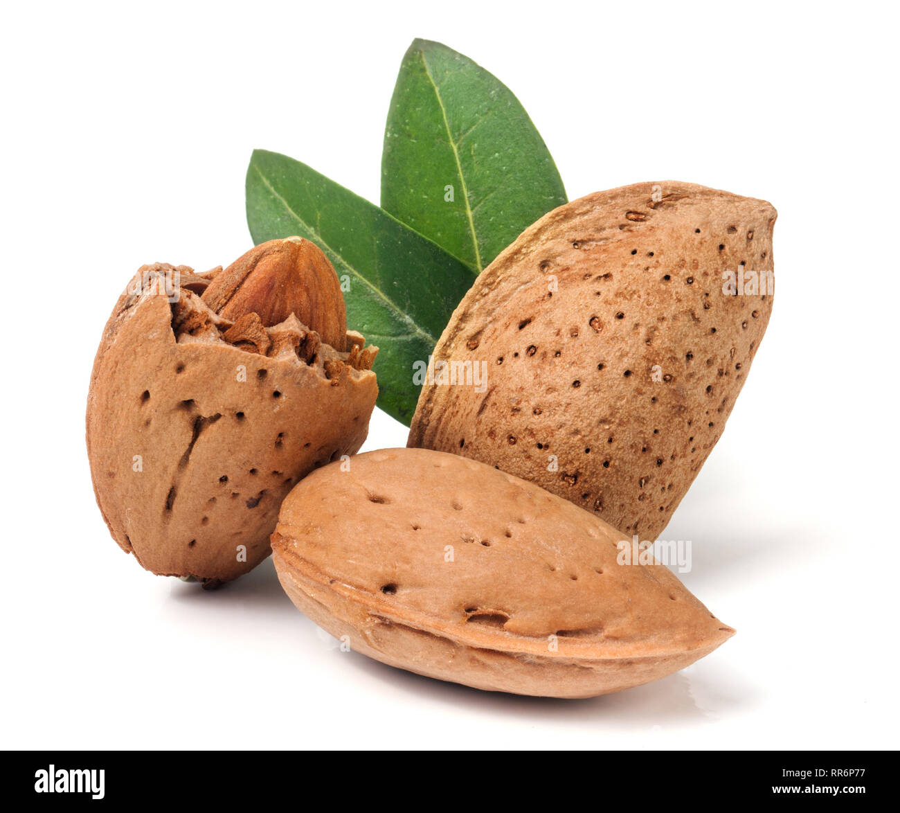 almonds in their skins and peeled with leaf isolated on white ...