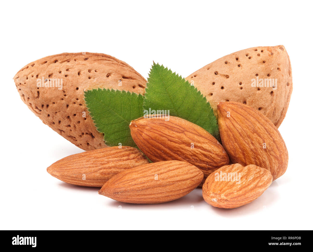 almonds in their skins and peeled with leaf isolated on white ...