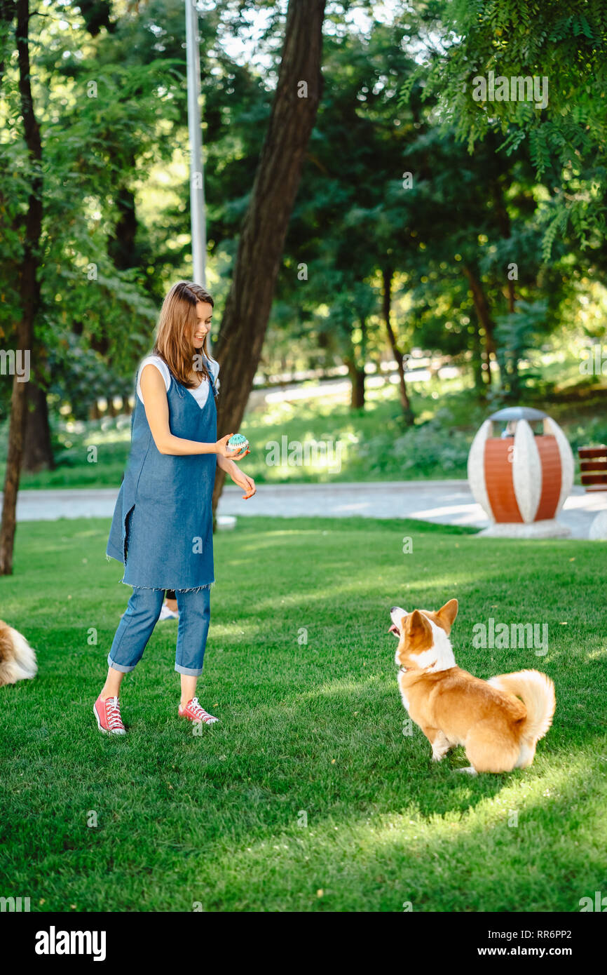 Portrait of woman with dog Welsh Corgi Pembroke in dog park Stock Photo ...