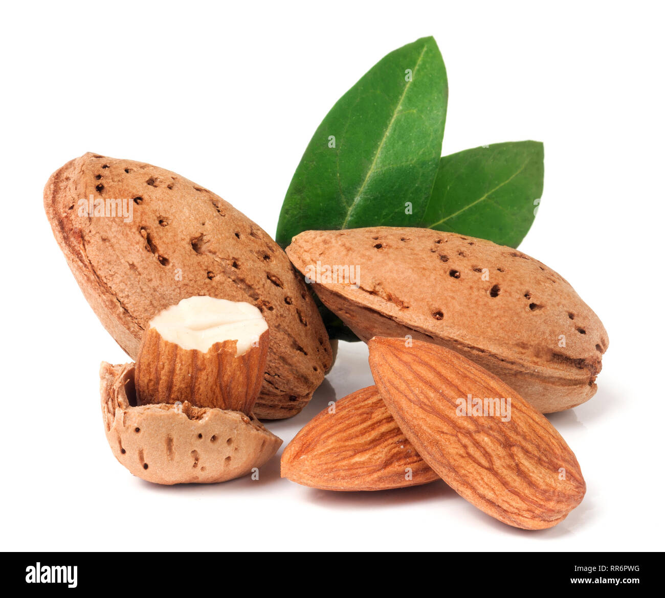 almonds in their skins and peeled with leaf isolated on white ...