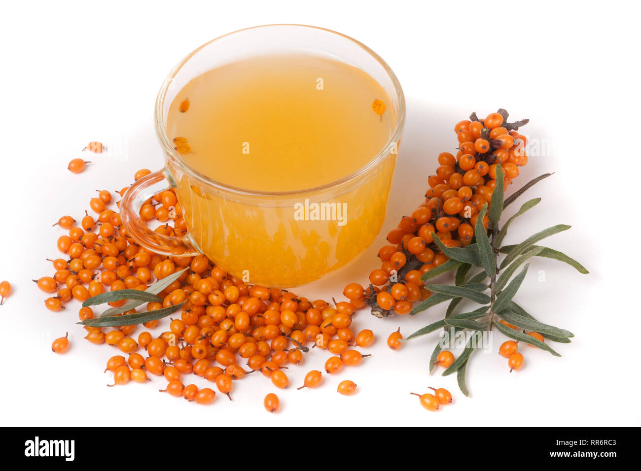 Sea buckthorn tea with a sprig isolated on white background Stock Photo ...