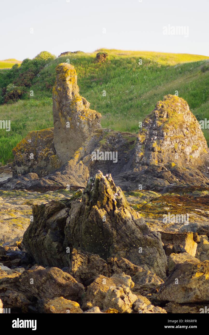 The Rock and Spindle at Sunset. Volcanic Neck of Tuff and Basalt ...