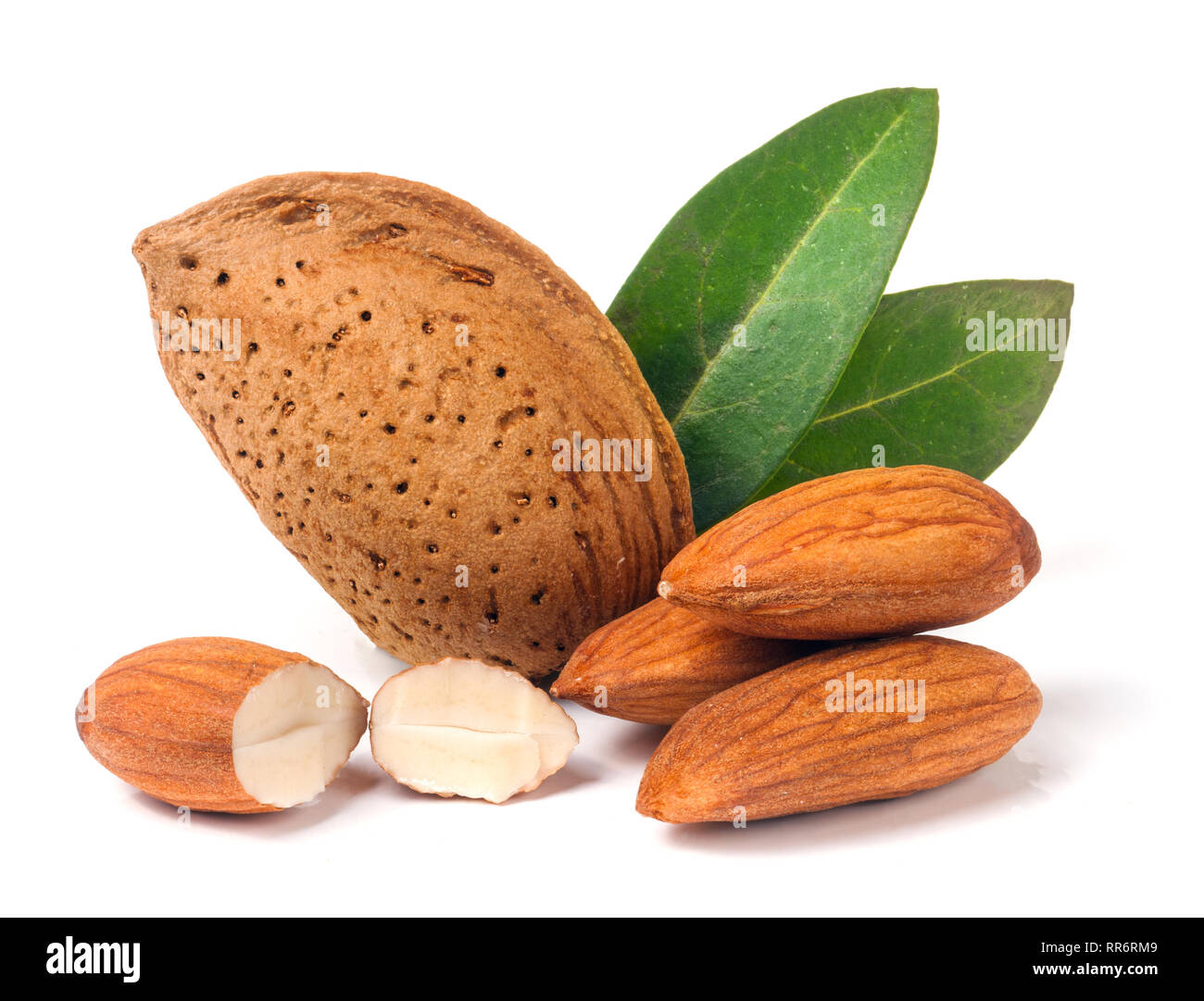almonds in their skins and peeled with leaf isolated on white ...