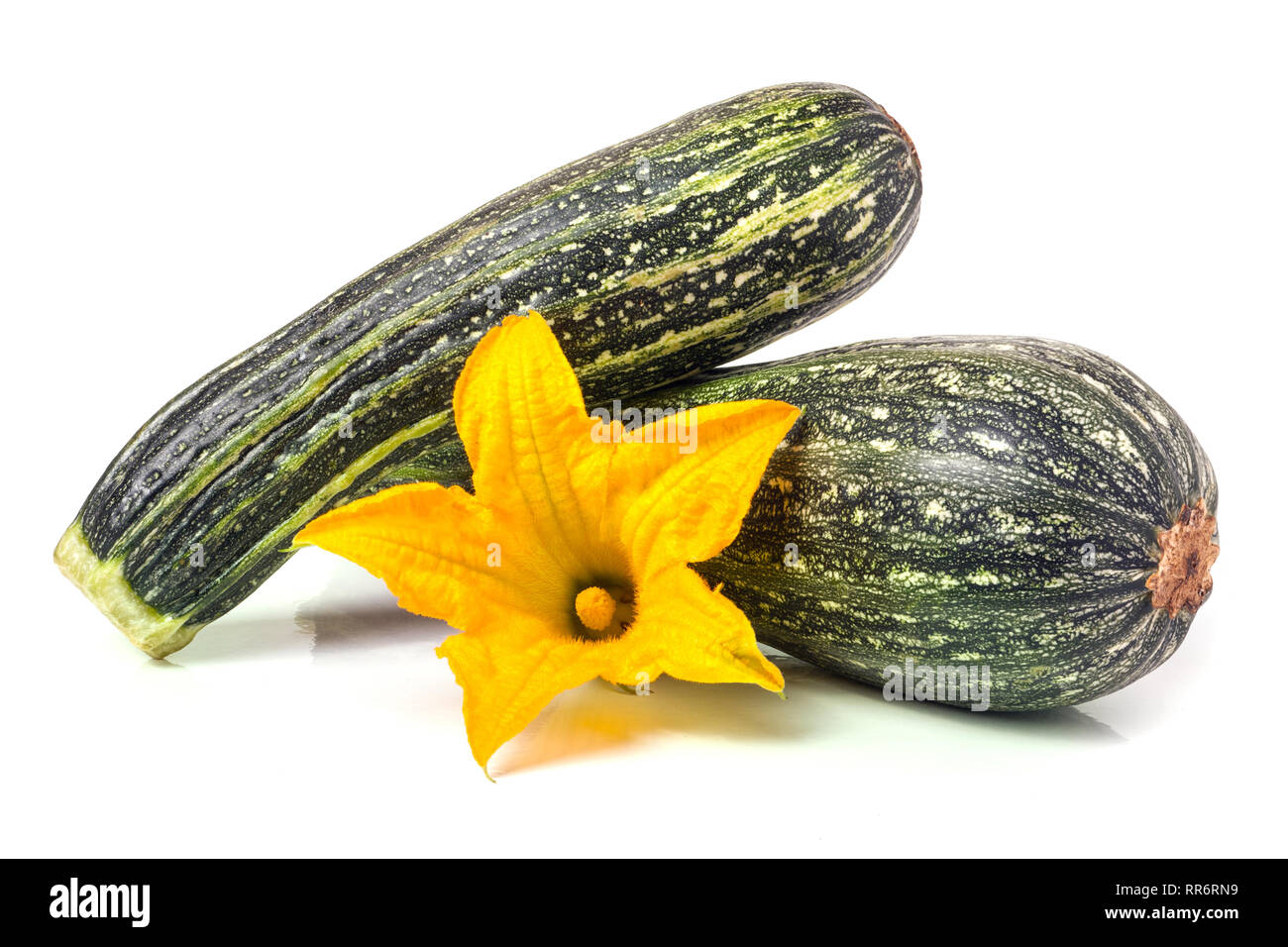 two zucchini with flower isolated on white background Stock Photo - Alamy