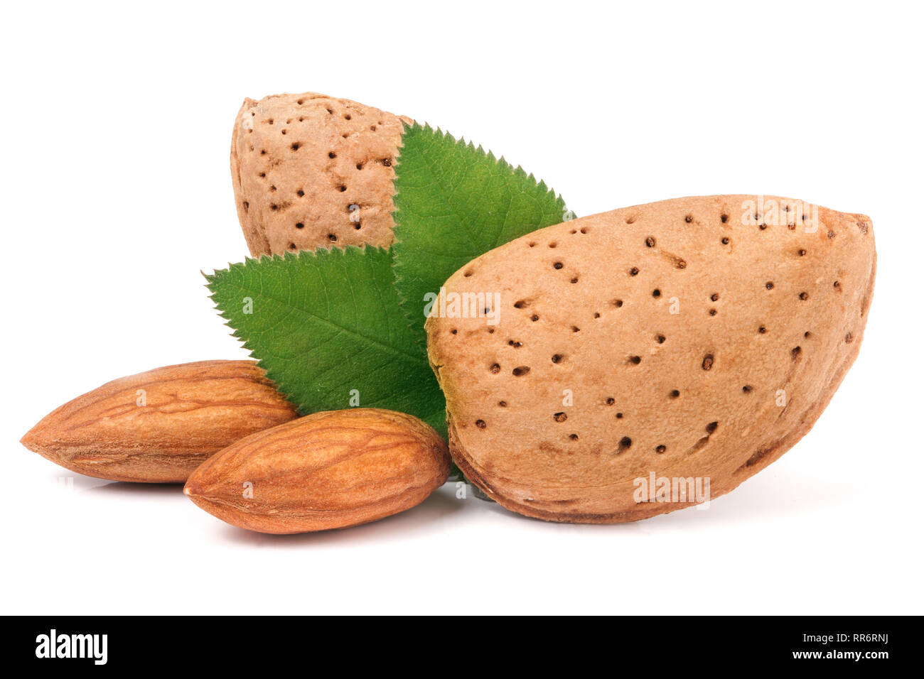almonds in their skins and peeled with leaf isolated on white ...