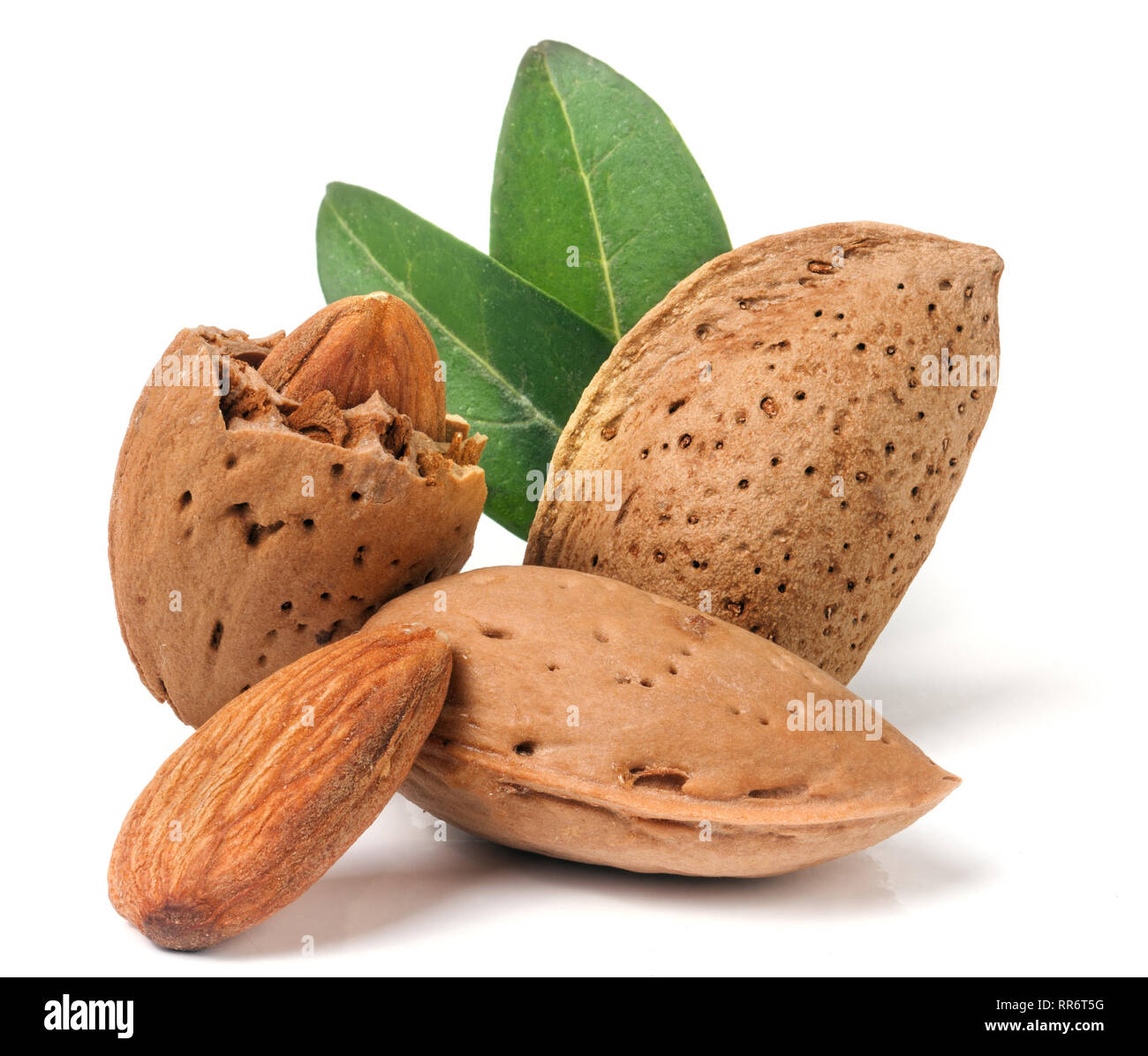 almonds in their skins and peeled with leaf isolated on white ...