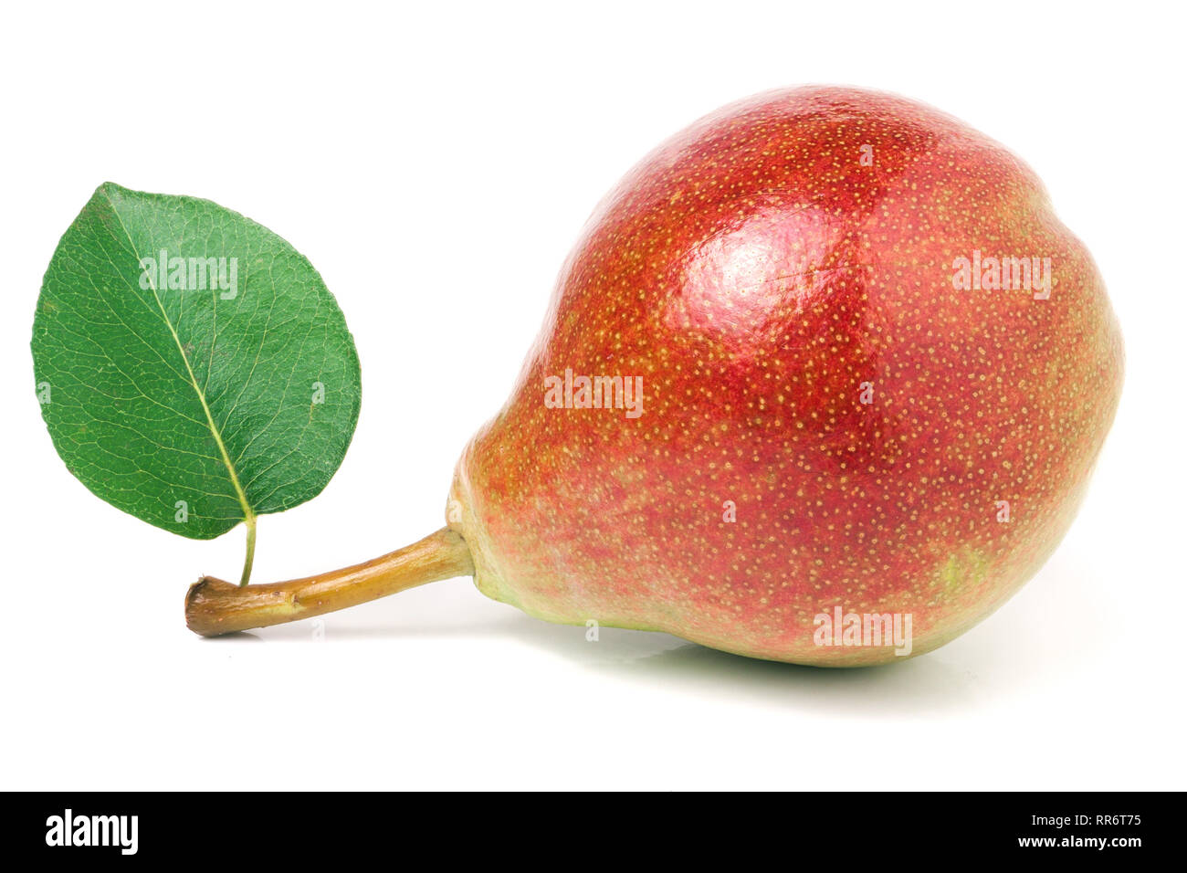 one red-yellow pear with leaf isolated on white background Stock Photo ...