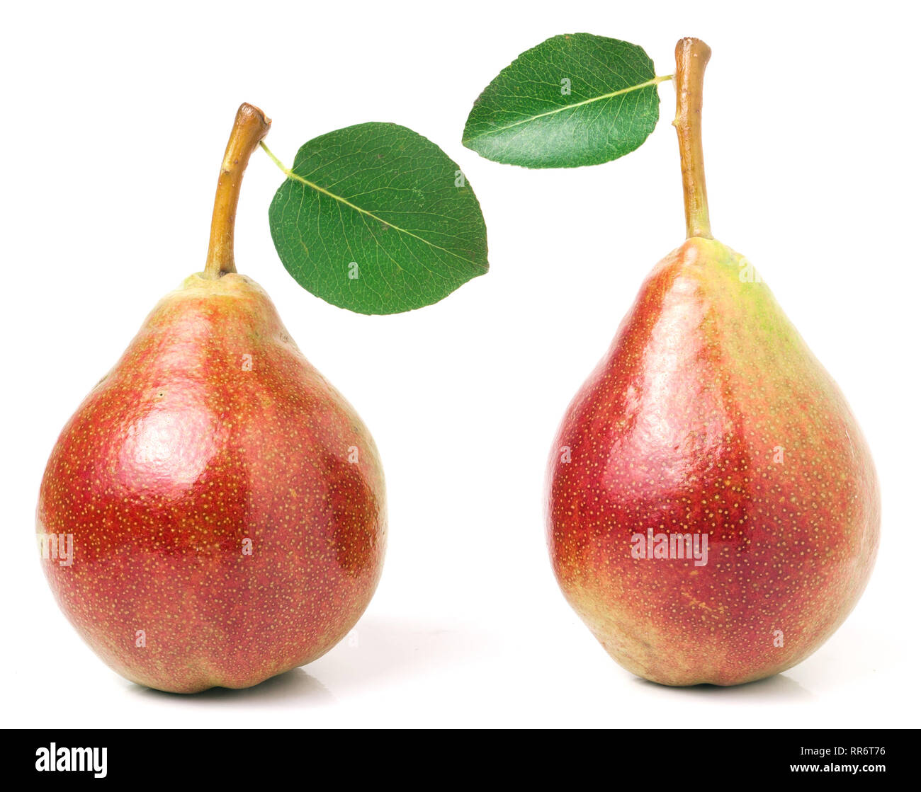 Two red pears with leaf isolated on white background Stock Photo - Alamy