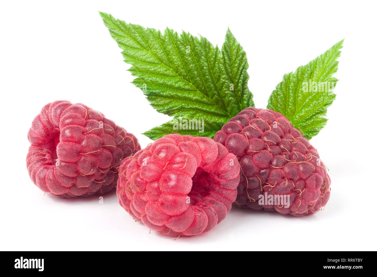 red raspberries with leaf isolated on white background macro Stock ...