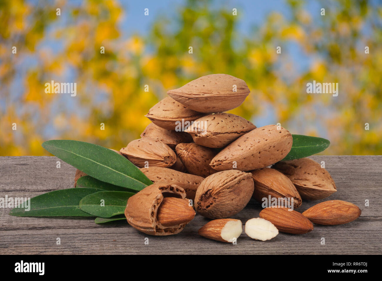 heap of almonds in their skins and peeled with leaf isolated on white ...