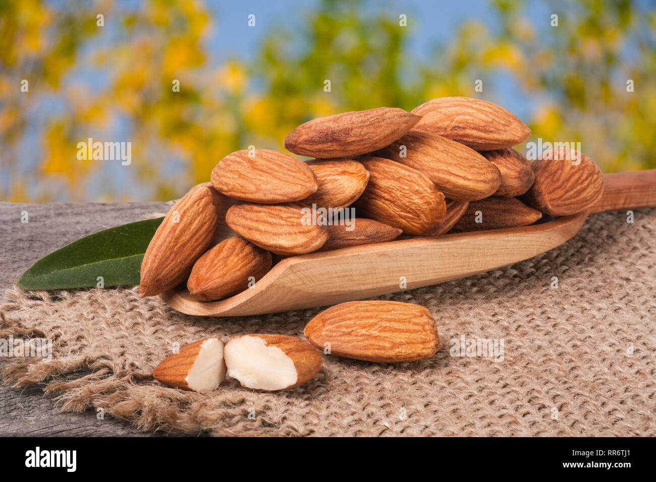 heap of peeled almonds with leaf in a wooden scoop on table blurred ...