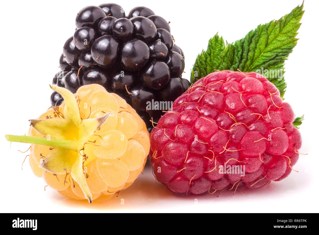 raspberries and blackberries with leaf isolated on white background ...