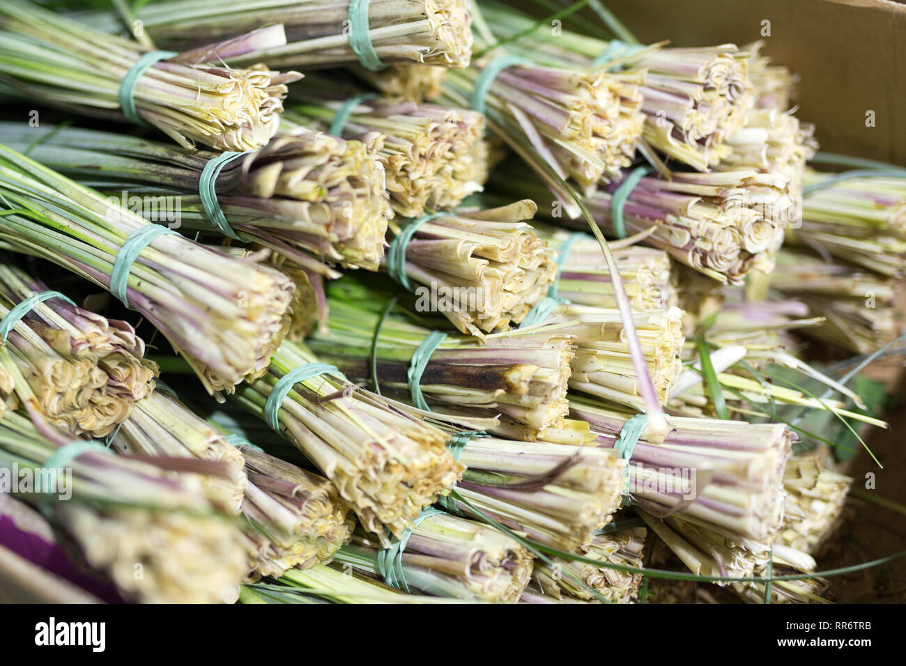 Bundles of decorative green beargrass at wholesale flower shop. Fresh ...