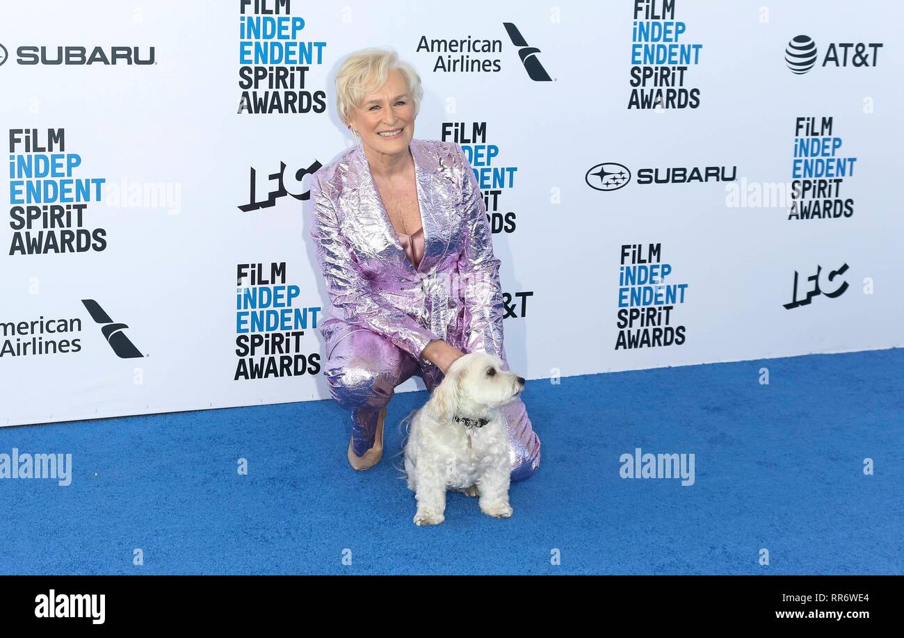 Glenn Close and her dog Pip arrive at the Film Independent Spirit ...