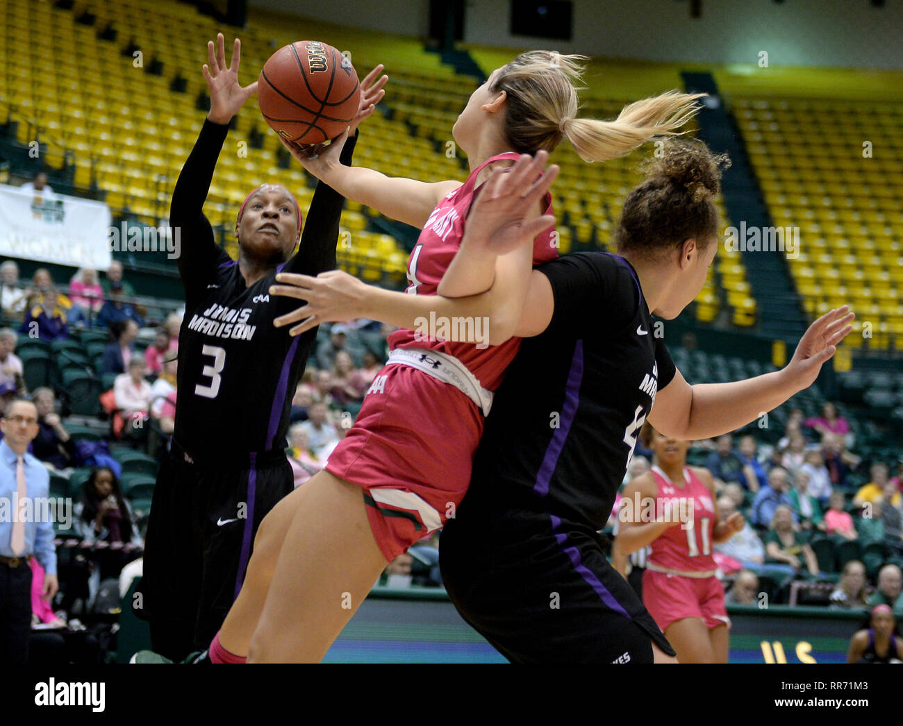 Williamsburg, VA, USA. 24th Feb, 2019. 20190224 - William and Mary ...