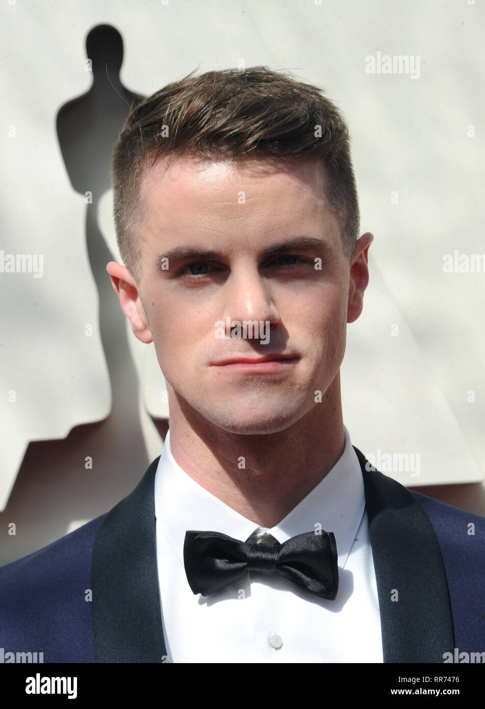 Los Angeles, CA, USA. 24th Feb, 2019. Louis Virtel at arrivals for The ...