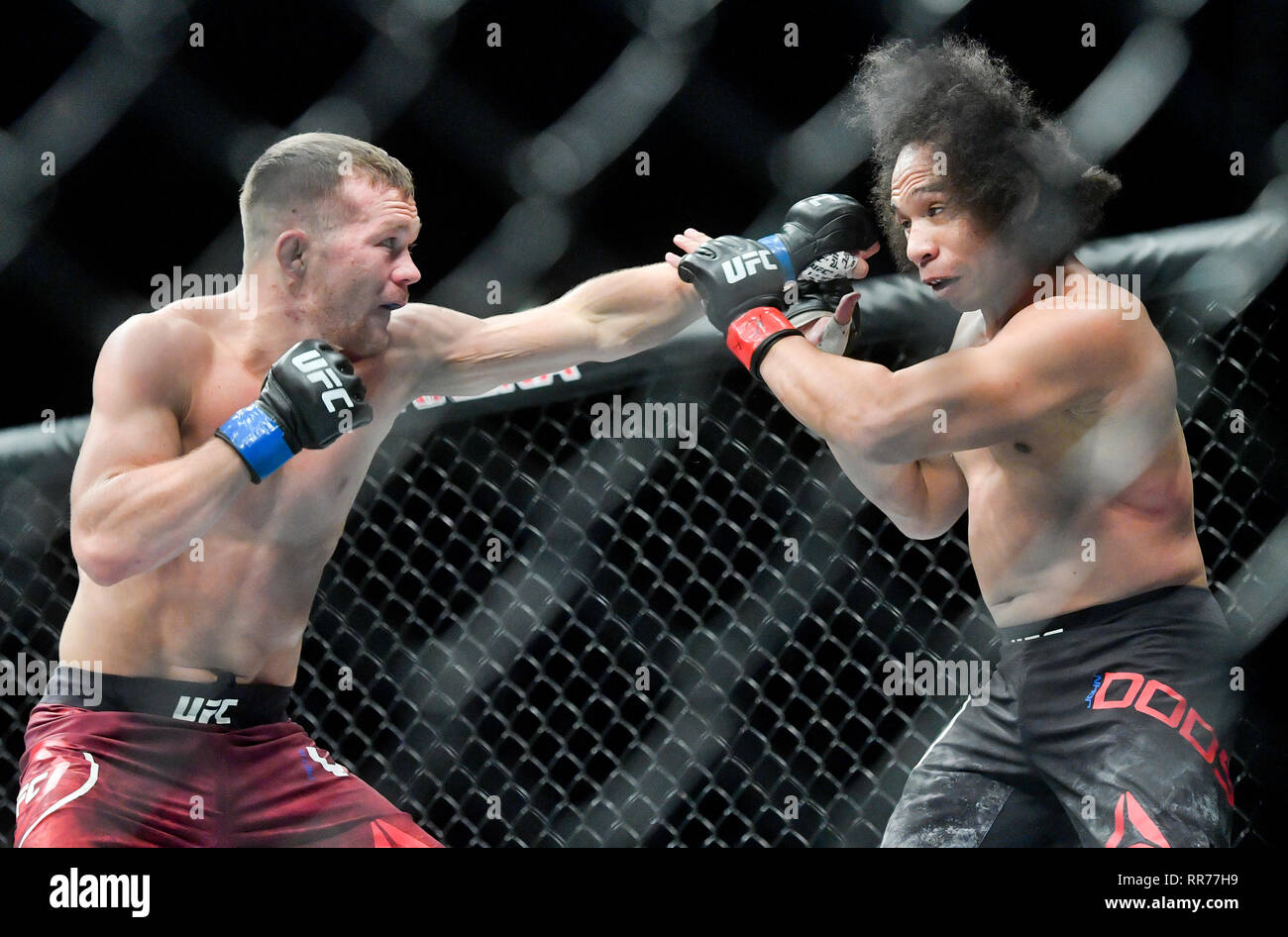 Petr yan mma hi-res stock photography and images - Alamy