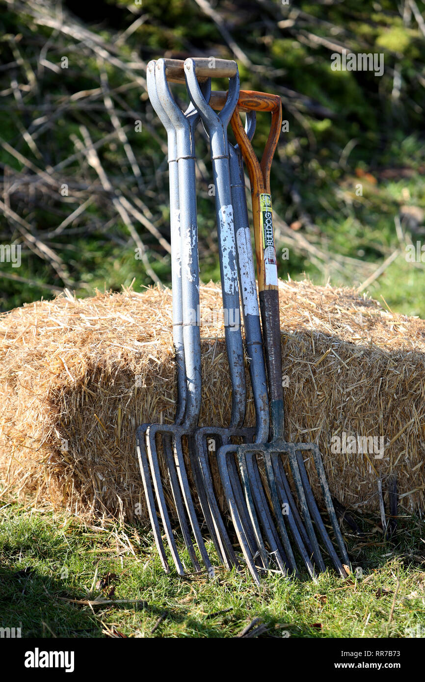 General views of the National Trust Slindon Estate near Arundel and ...
