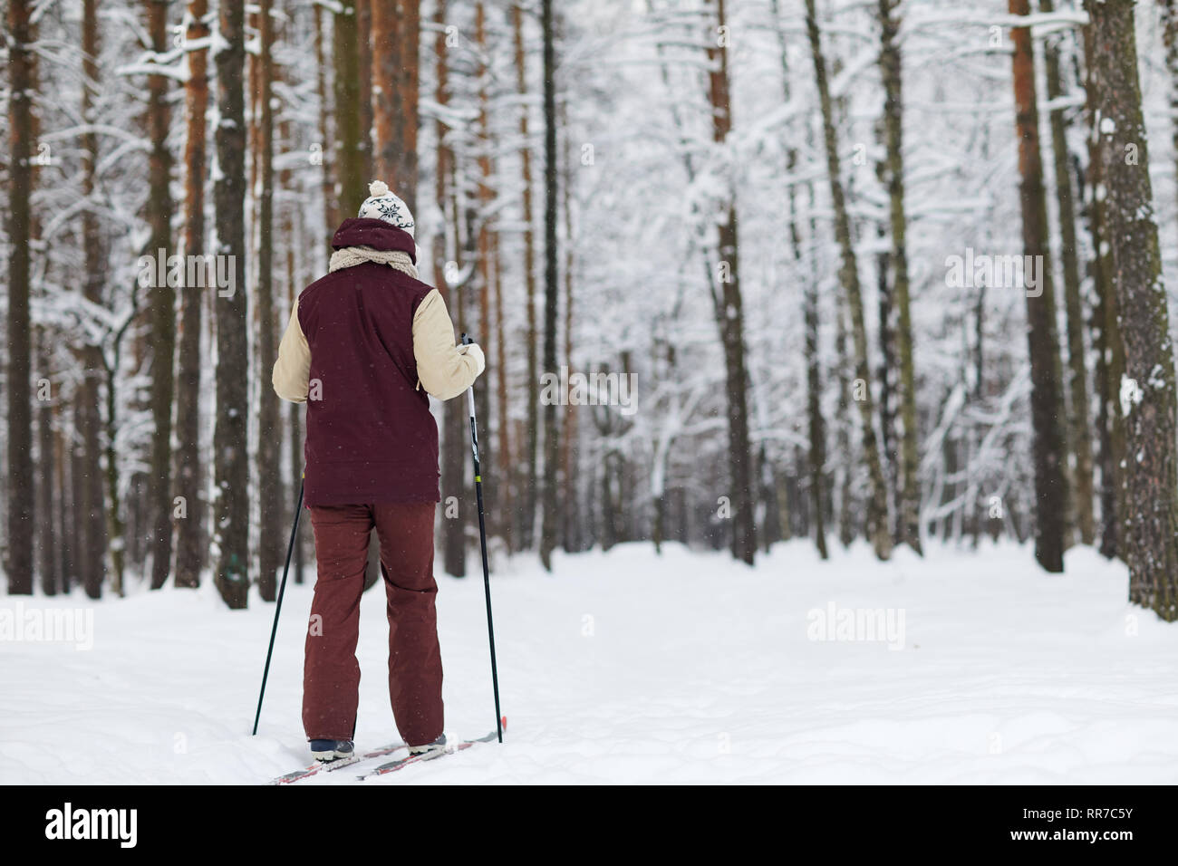 Man Skiing in Forest Back View Stock Photo - Alamy