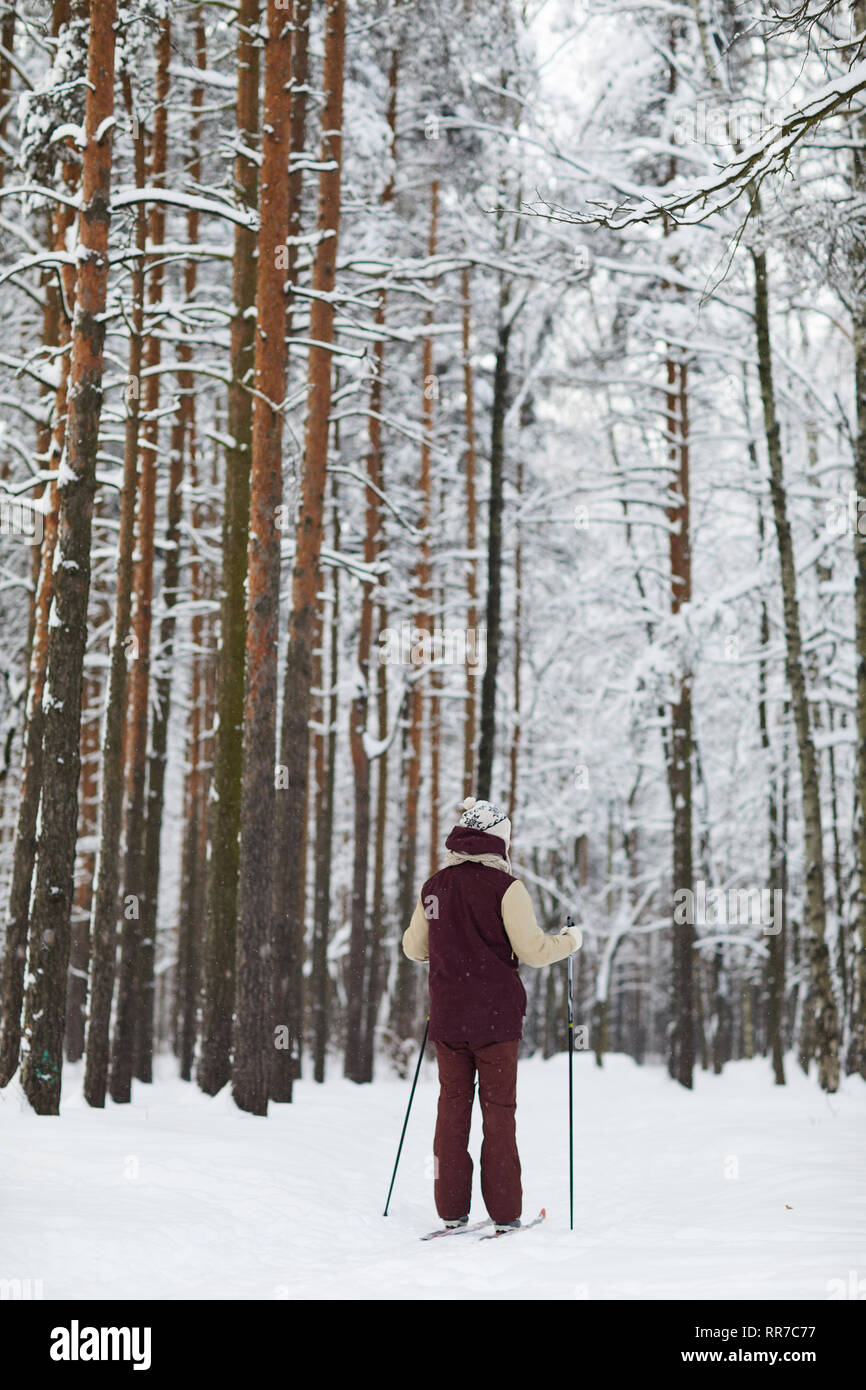 Back View Man Skiing in Forest Stock Photo - Alamy