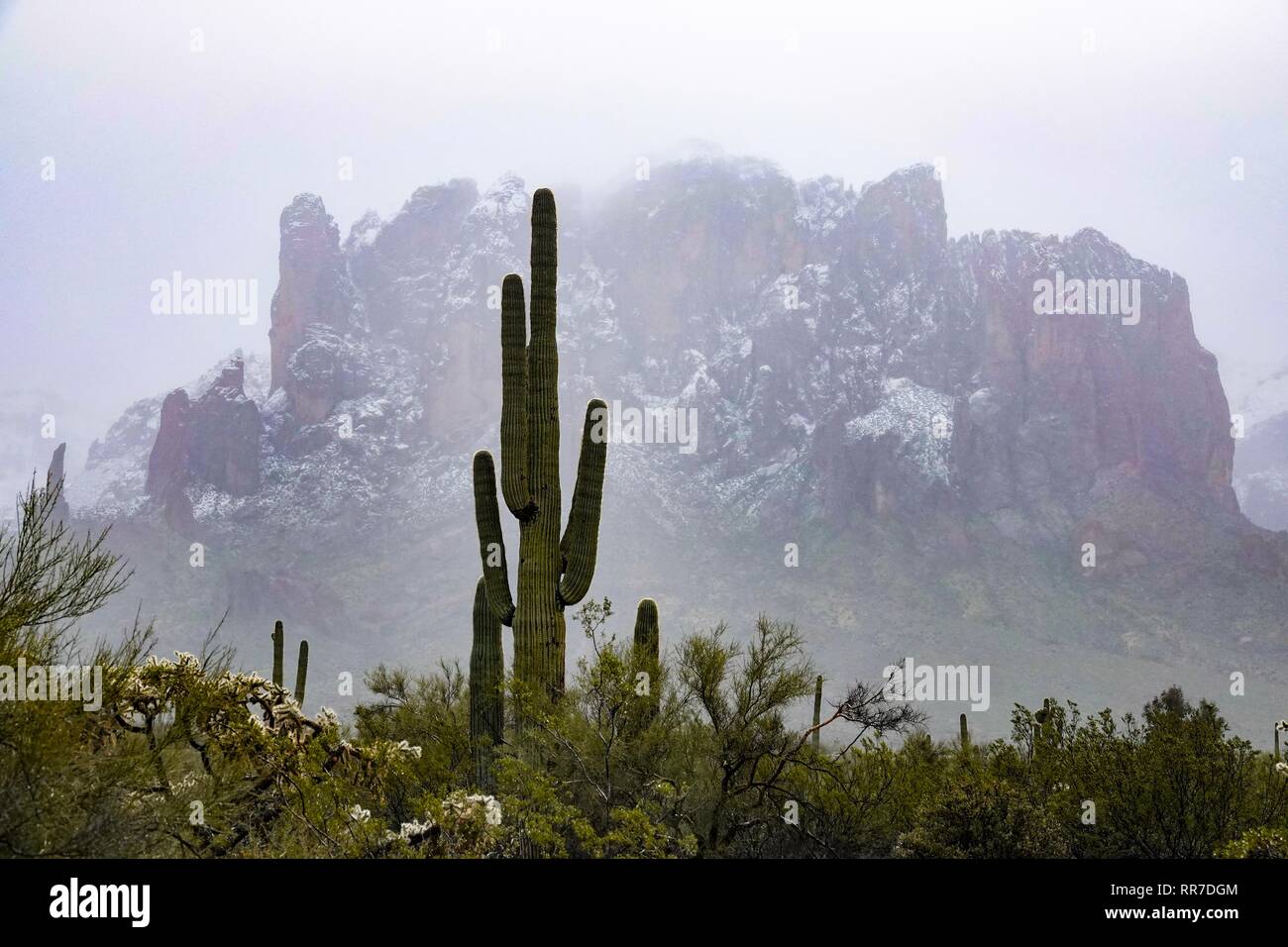 A winter storm hit the Phoenix desert covering the Superstition ...