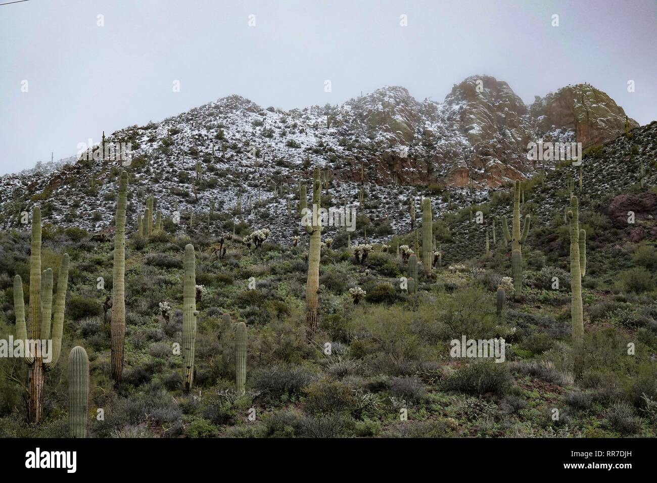 A winter storm hit the Phoenix desert covering the Superstition ...