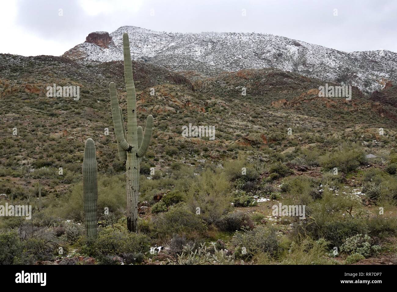 A winter storm hit the Phoenix desert covering the Superstition ...