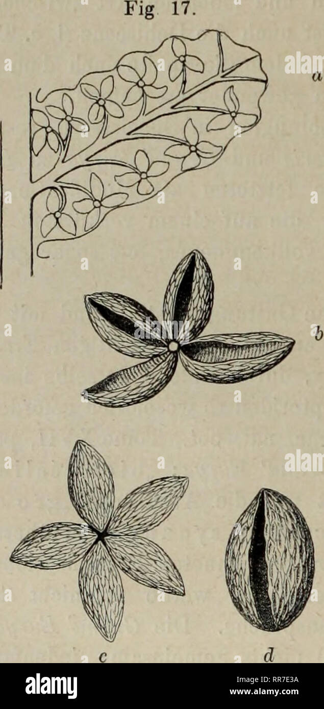 . Abhandlungen der Geologischen Bundesanstalt. Geology; Paleontology ...