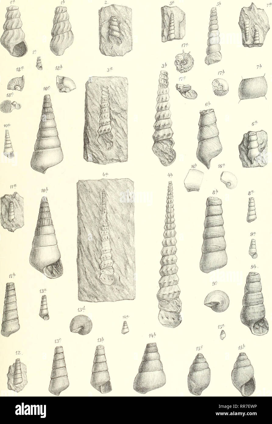 Ulk band hi-res stock photography and images - Alamy