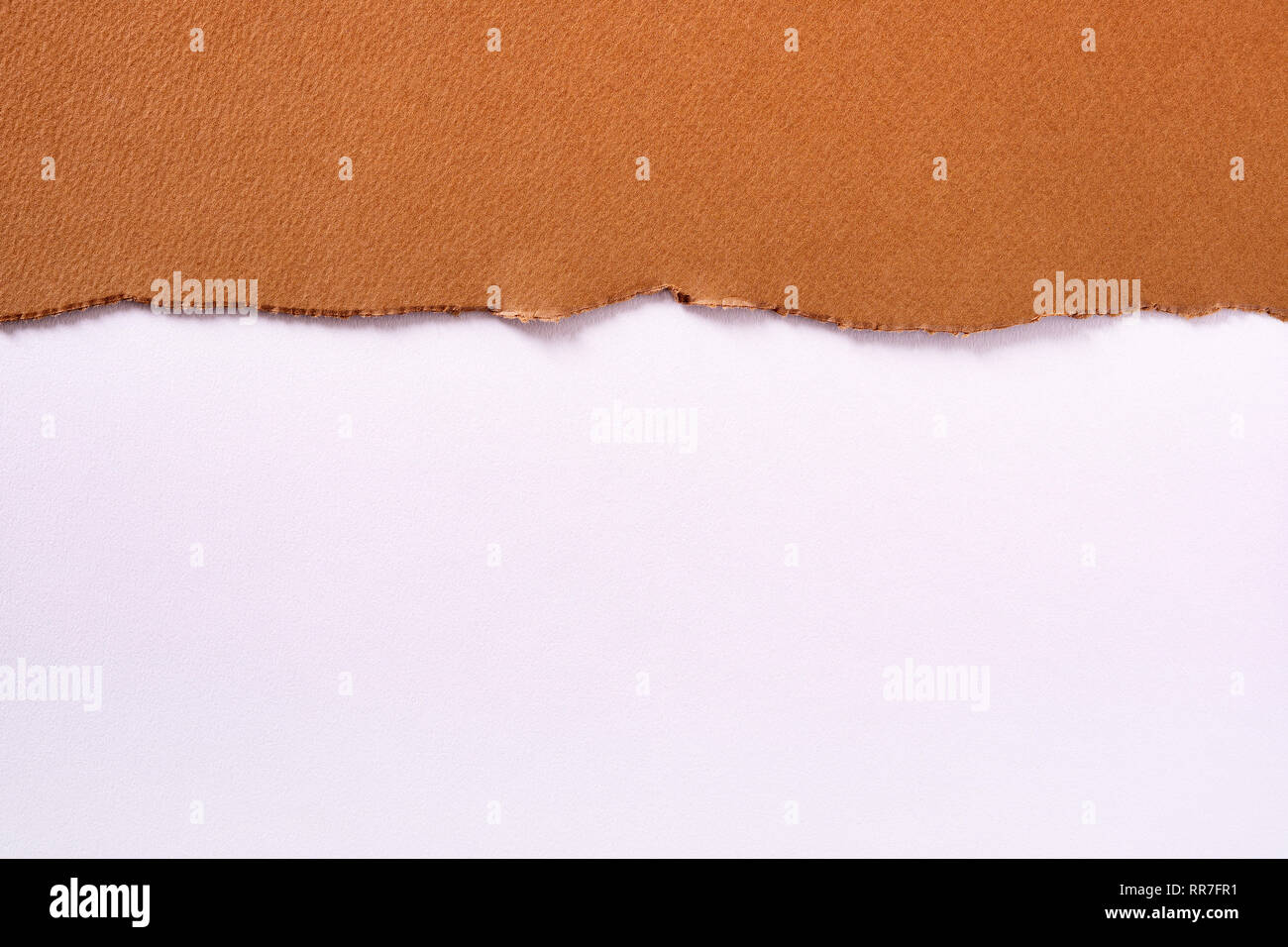 Torn brown paper top edge border white background Stock Photo - Alamy