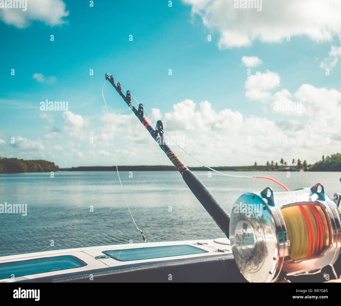 Professional fishing hi-res stock photography and images - Alamy