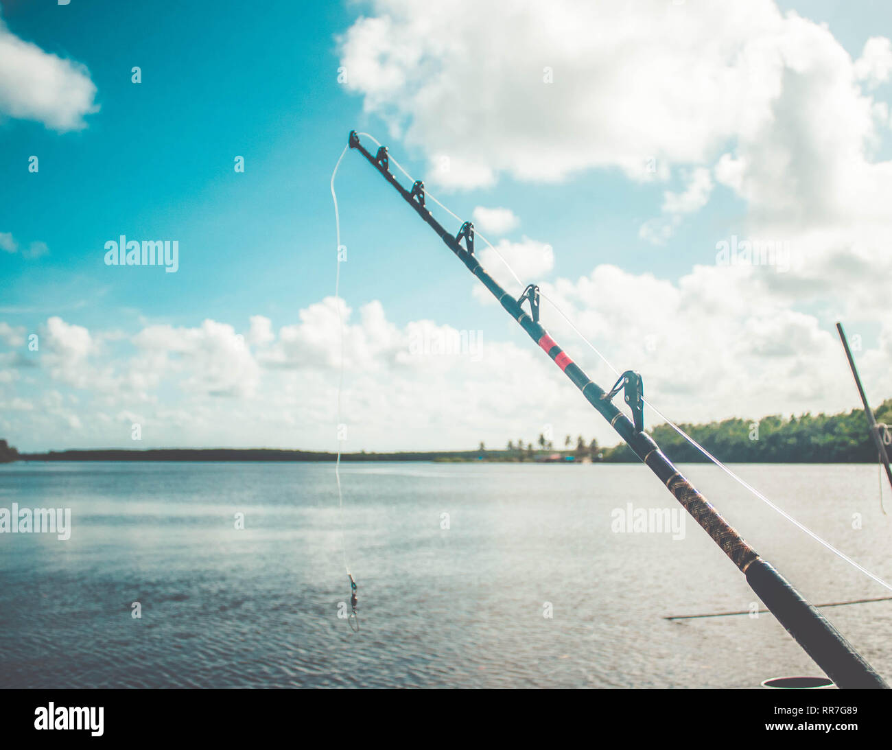 Fishing rod hand close hi-res stock photography and images - Alamy