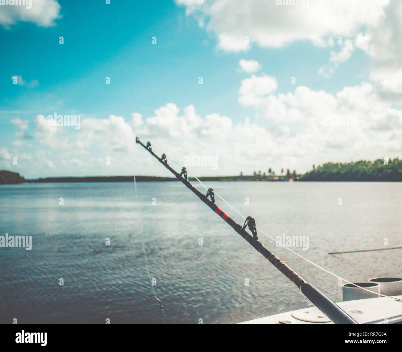 Close up fishing rod river hi-res stock photography and images - Alamy