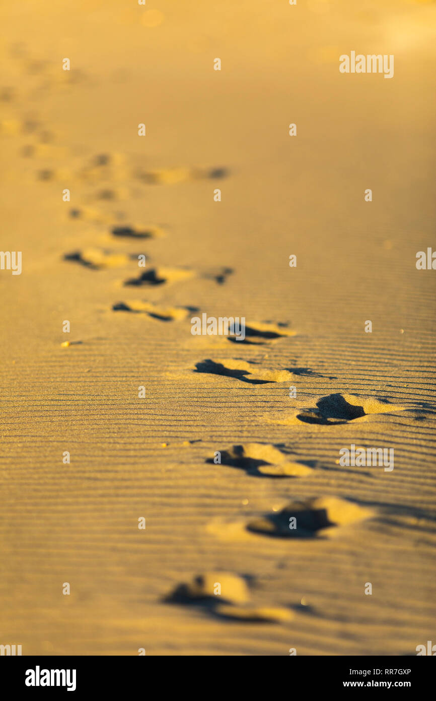 Foot marks hi-res stock photography and images - Alamy