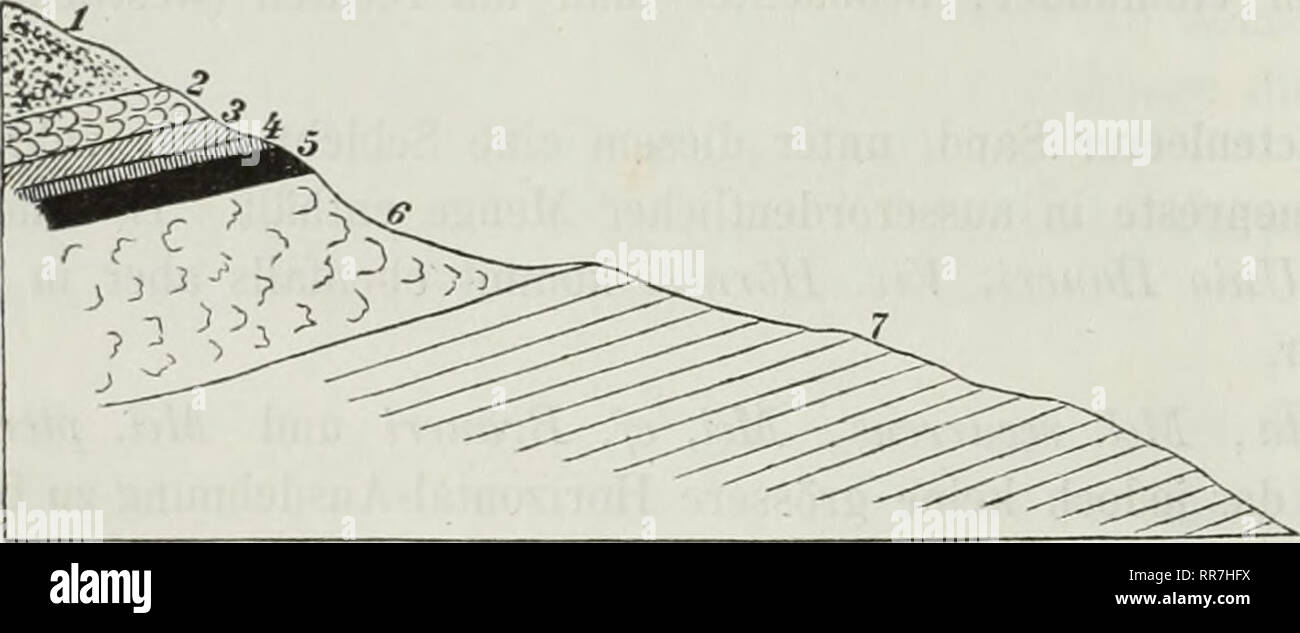 Graben Geology Scarp Head Diagram