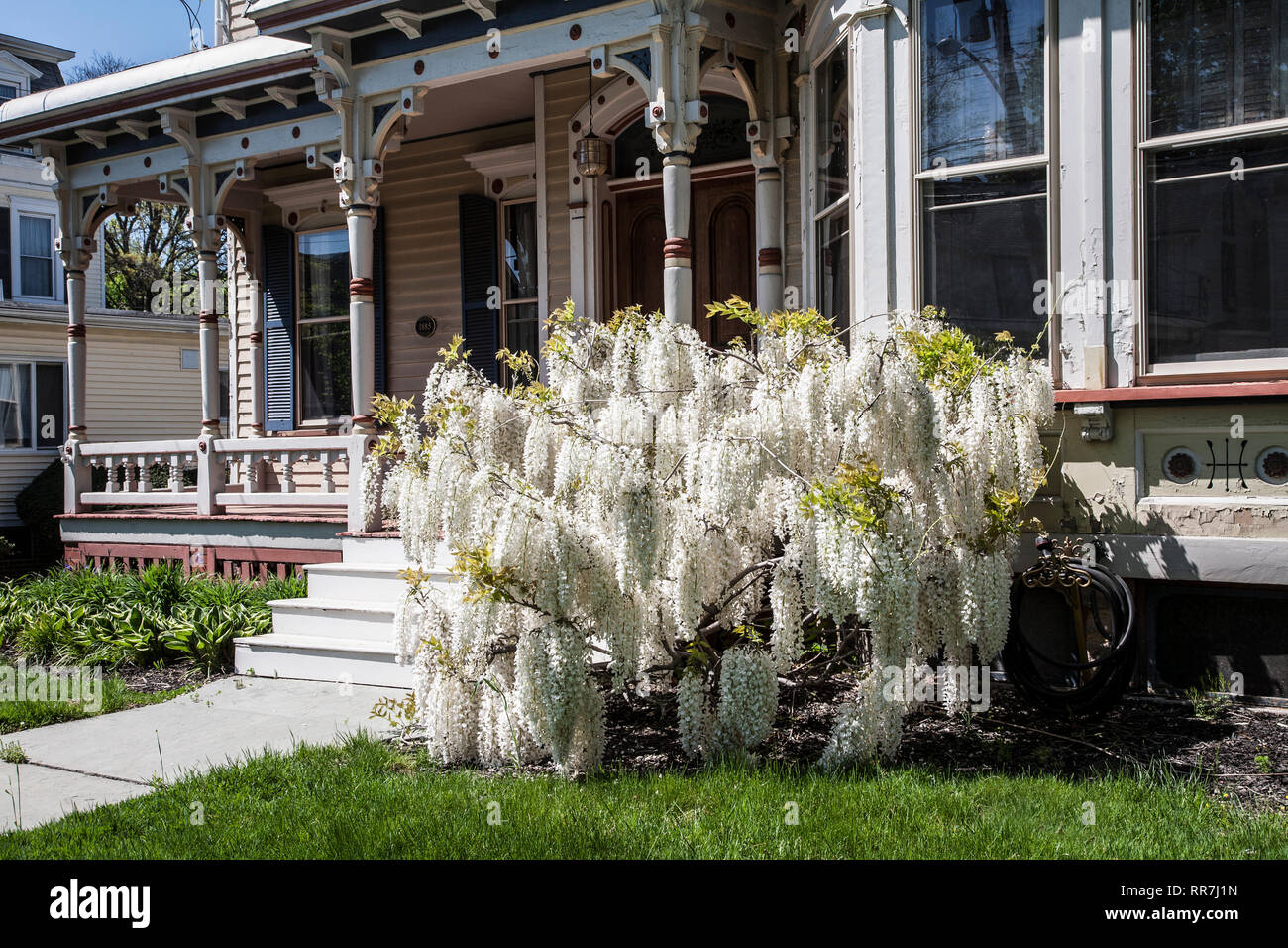 Victorian Home Spring Garden Reviving The Front Yard For Spring