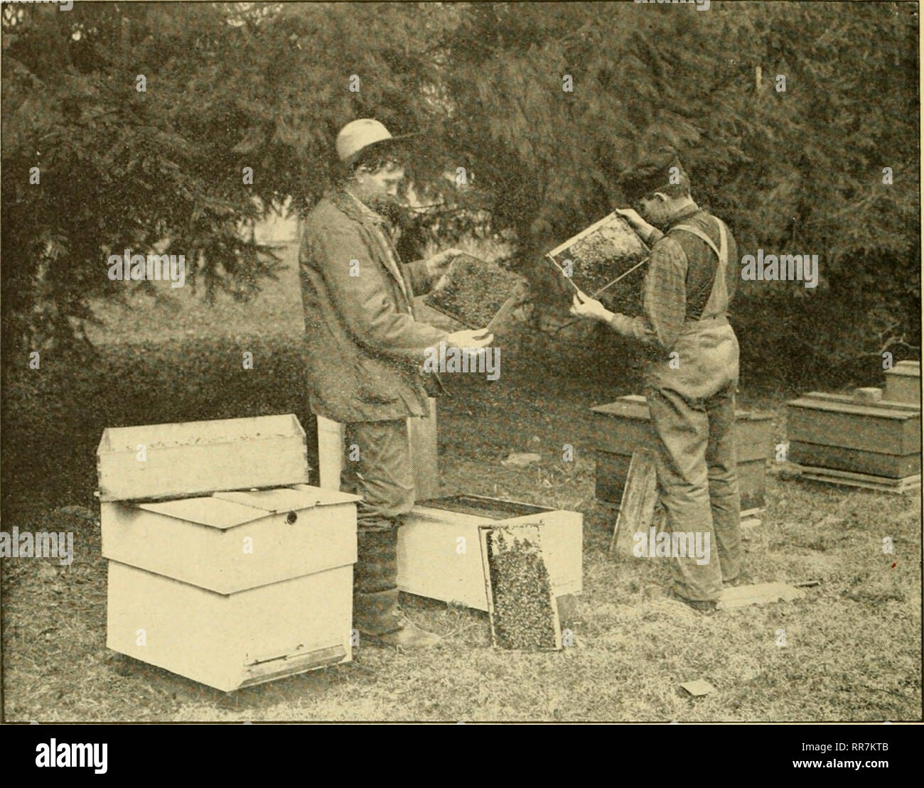 Ghaff hi-res stock photography and images - Alamy